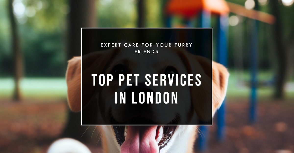 Top Pet Services in London 2025: A Guide