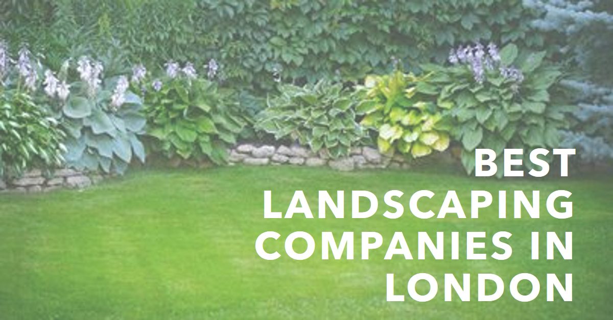 Best Landscaping Companies In London (2024)