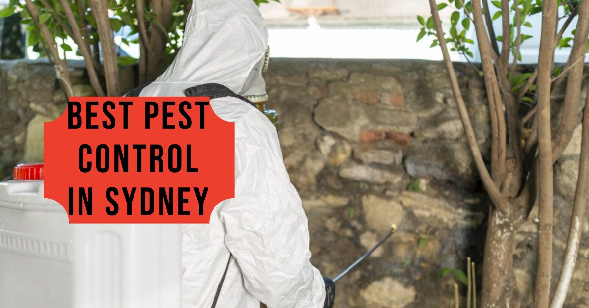 Best Pest Control In Sydney (2025)
