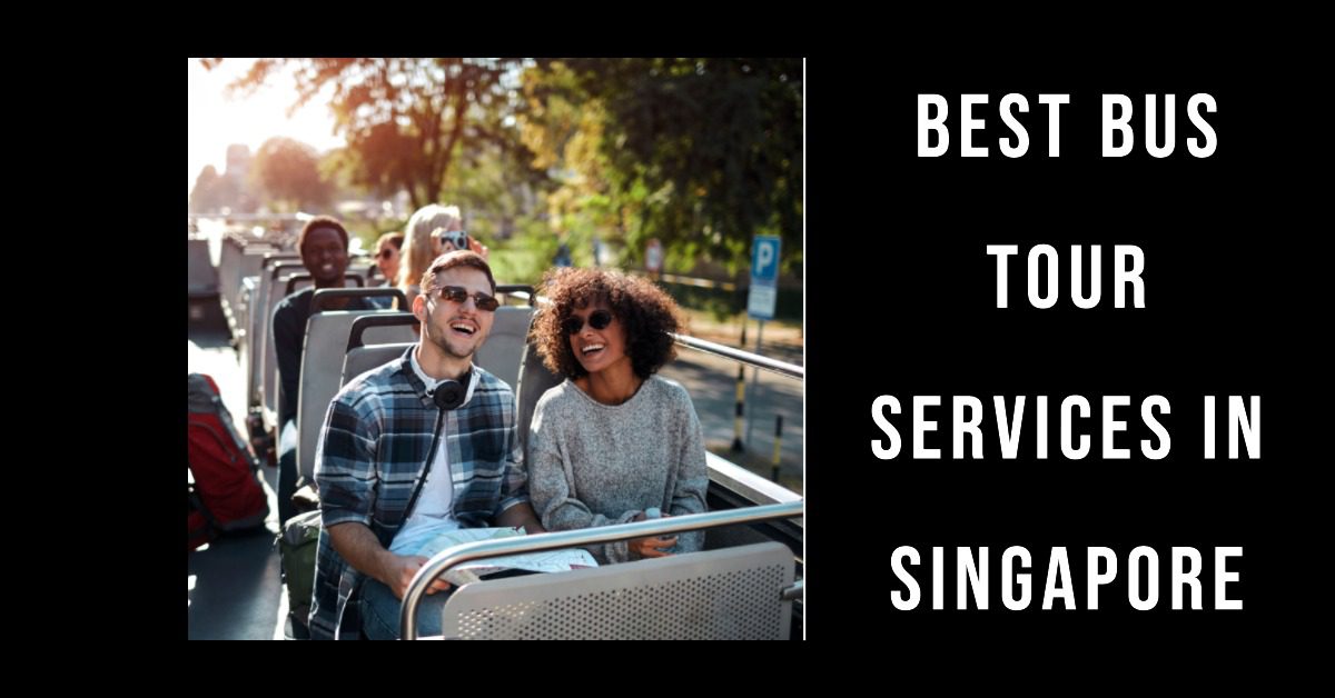 Best Bus Tour Services In Singapore (2024)