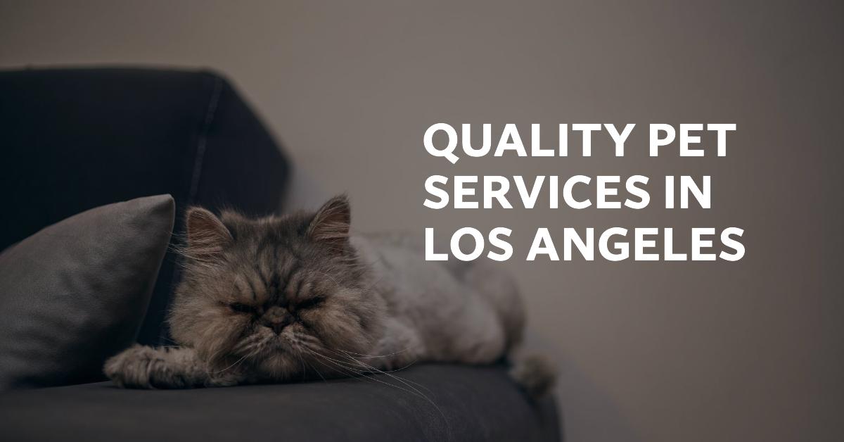Los Angeles Pet Services Guide 2025
