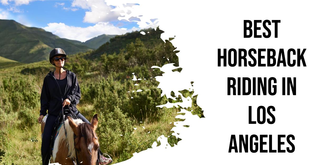 4 Best Horseback Riding In Los Angeles (2025)