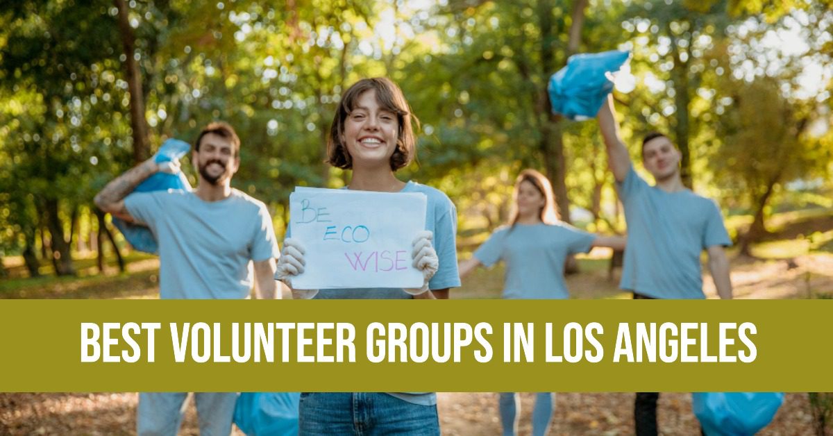 3 Best Volunteer Groups In Los Angeles (2025)