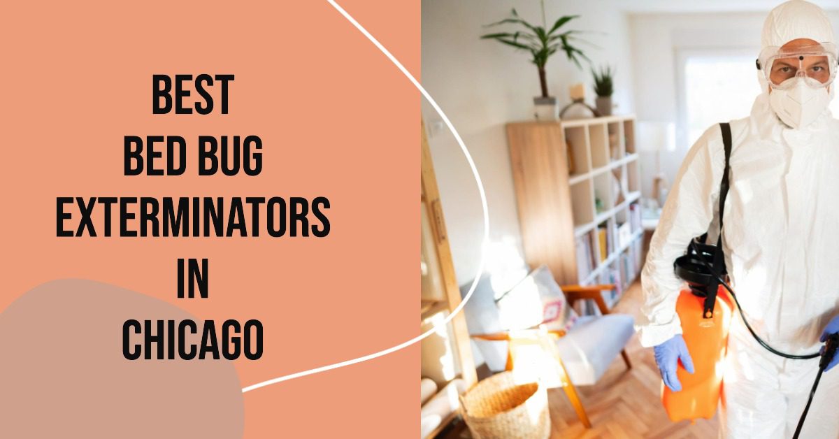 5 Best Bed Bug Exterminators In Chicago (2024)