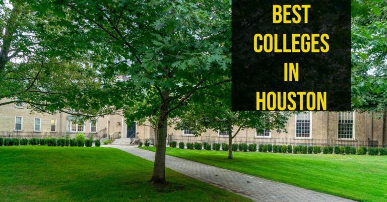 4 Best Colleges In Houston (2025)