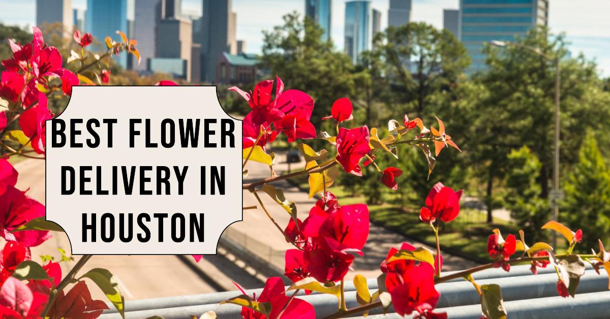5 Best Flower Delivery In Houston (2026)
