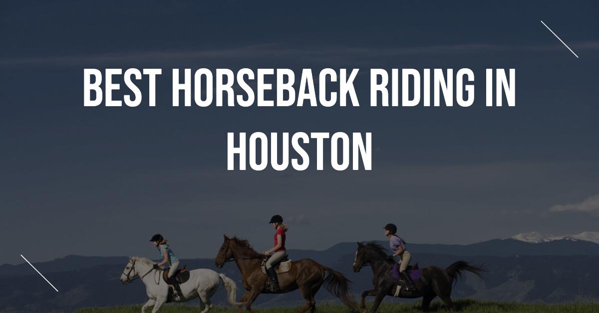 3 Best Horseback Riding In Houston (2025)
