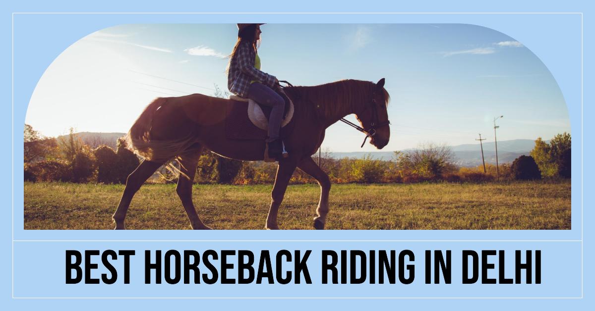 5 Best Horseback Riding In Delhi (2024)