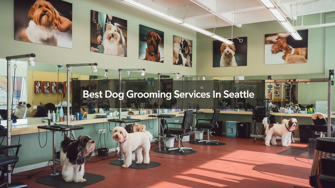 5 Best Dog Grooming Services In Seattle (2025)